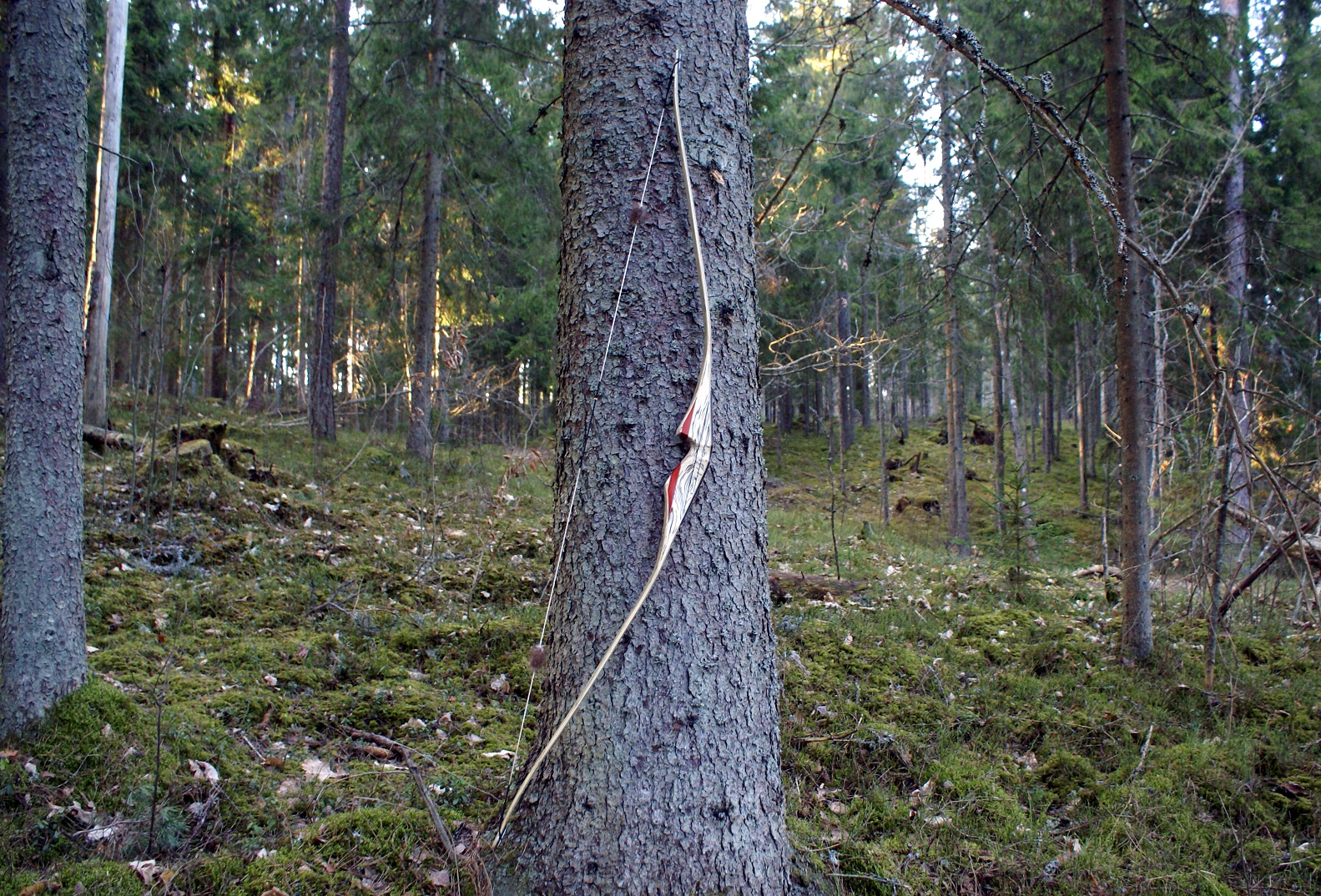 Custom bows – Baltic Bows